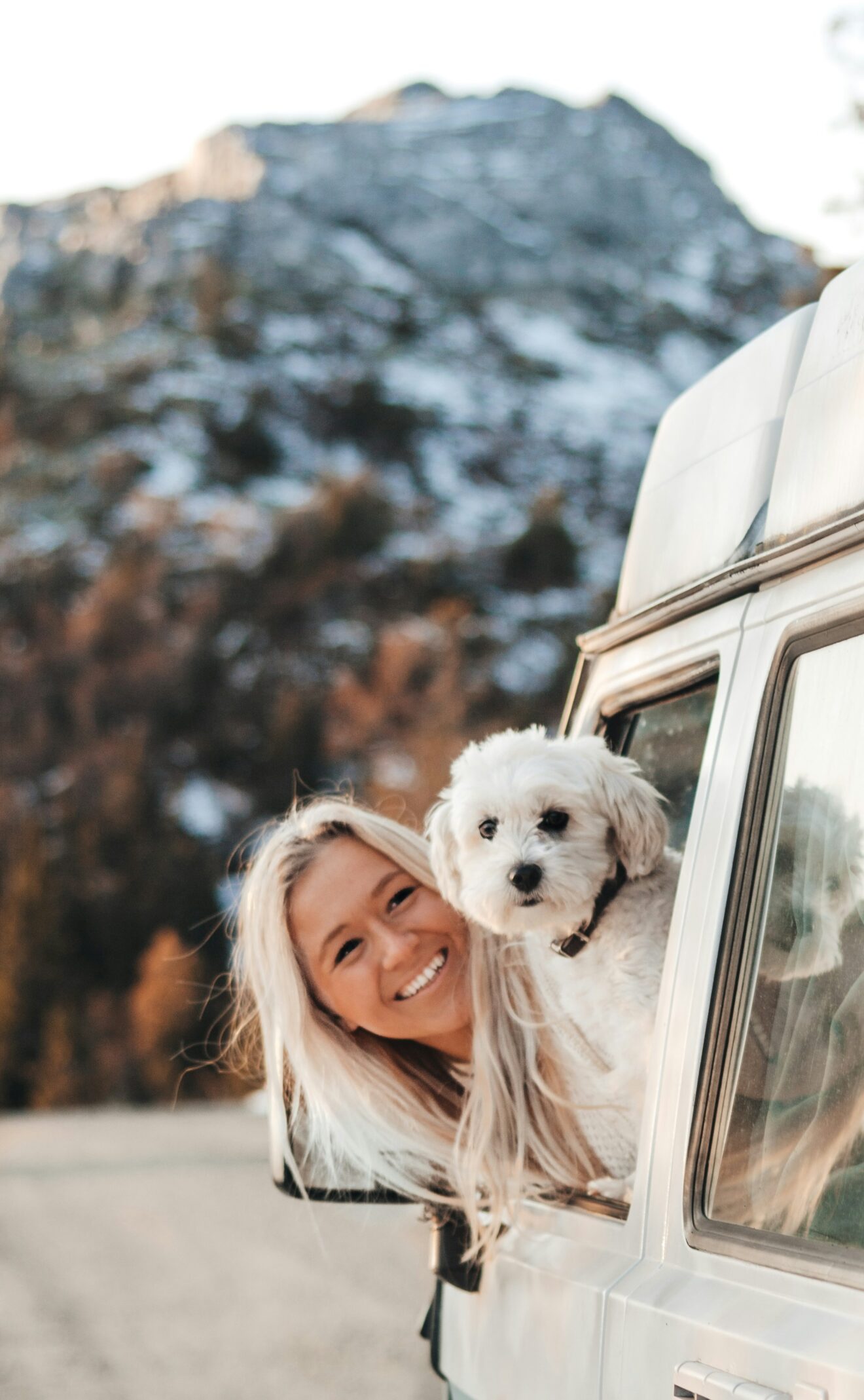 Raising a Puppy While Living a Digital Nomad Life - Nomad Stays Blog ...